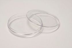 Biological Test Dish